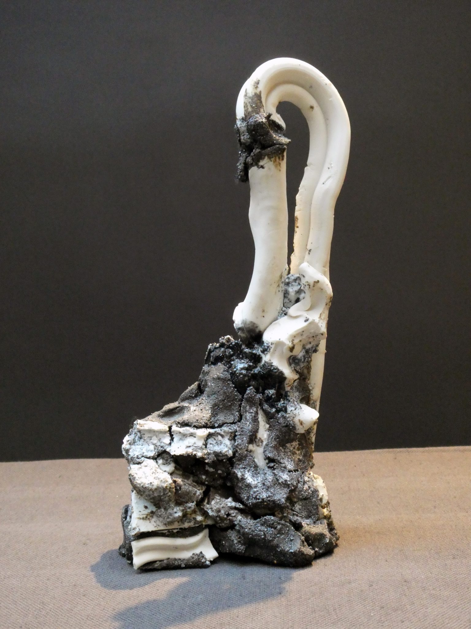 P1000441 – copie – Peter Briggs